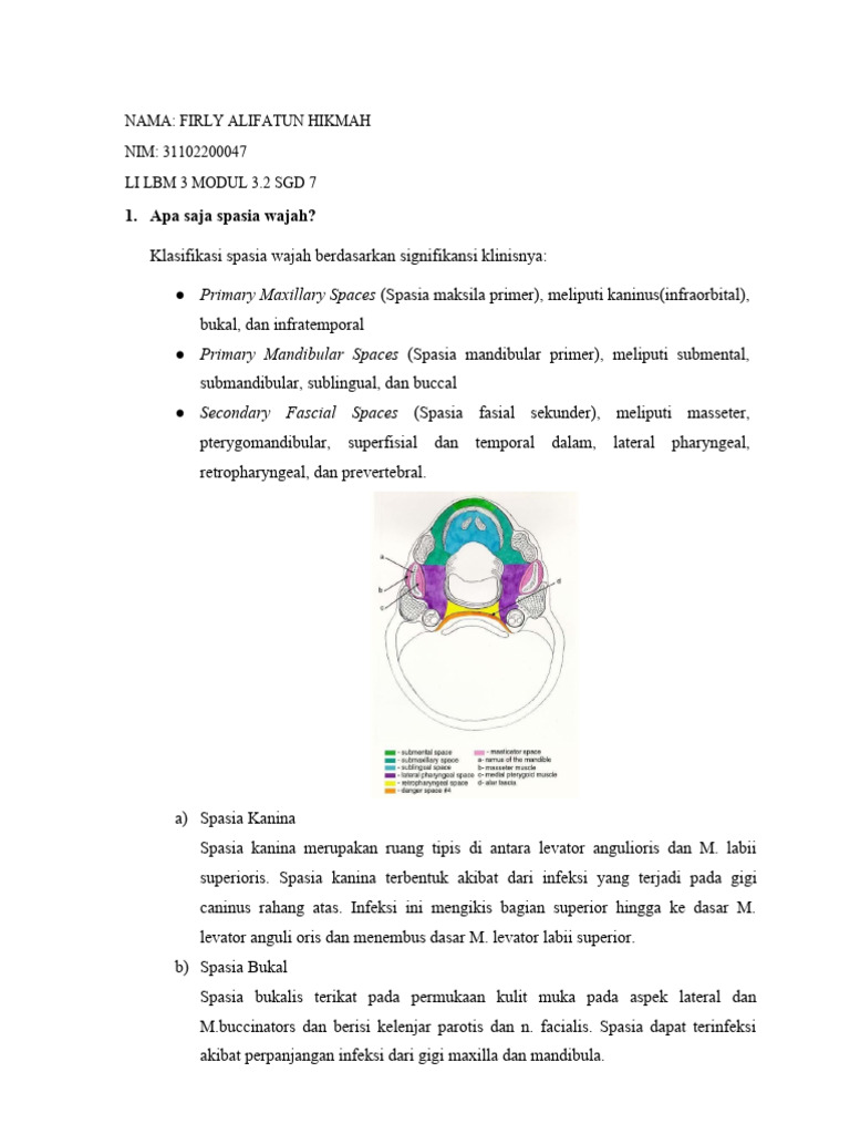 Li LBM 3 Modul 3.2 SGD 7 Firly Alifatun Hikmah 31102200047 | PDF