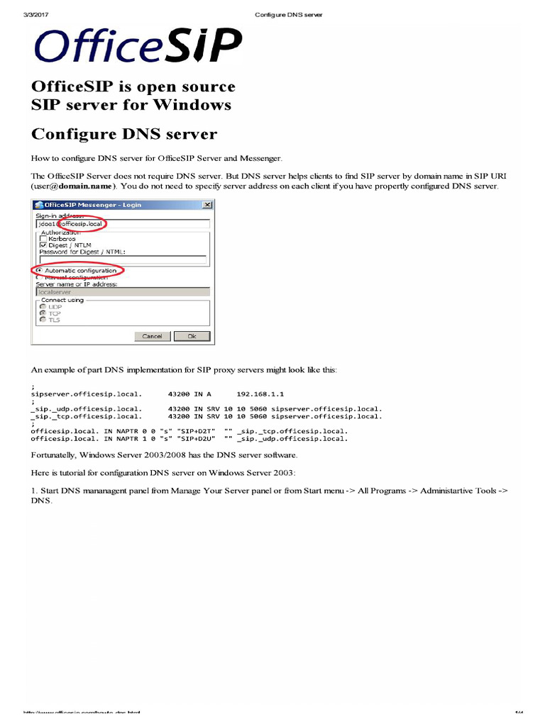 Configure DNS Server | PDF