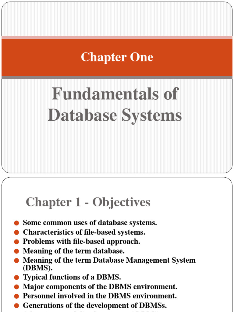 Chapter 1 Introduction | PDF | Databases | Data Model