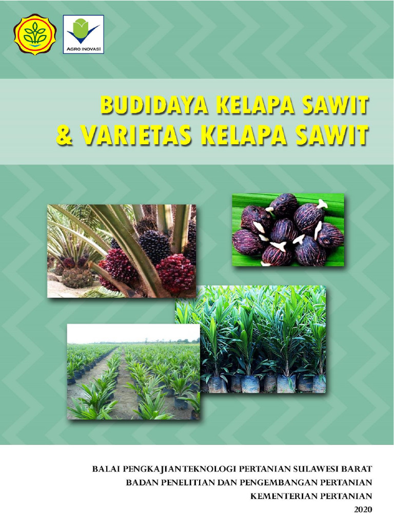 Petunjuk Teknis Pembibitan Kelapa Sawit | PDF