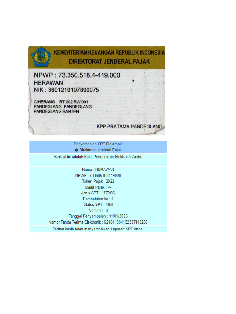 SPT Pajak Dan NPWP | PDF