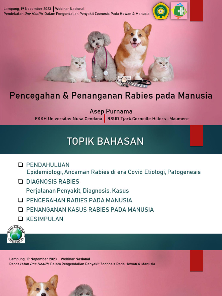 Dr. Asep - Tata Laksana Kasus Rabies Pada Manusia Share | PDF