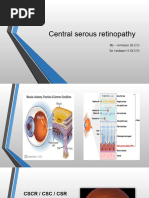 Fundus Diagram Drawing Guide | PDF | Retina | Human Eye