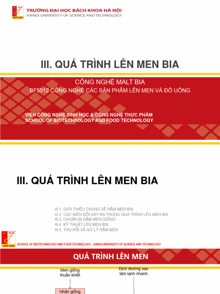 Quá Trình Lên Men - NẤM MEN BIA | PDF
