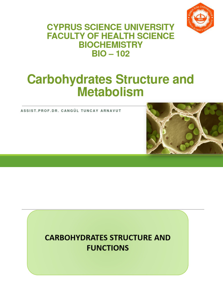 Carbohydrates Structure and Metabolism | PDF | Carbohydrates | Starch