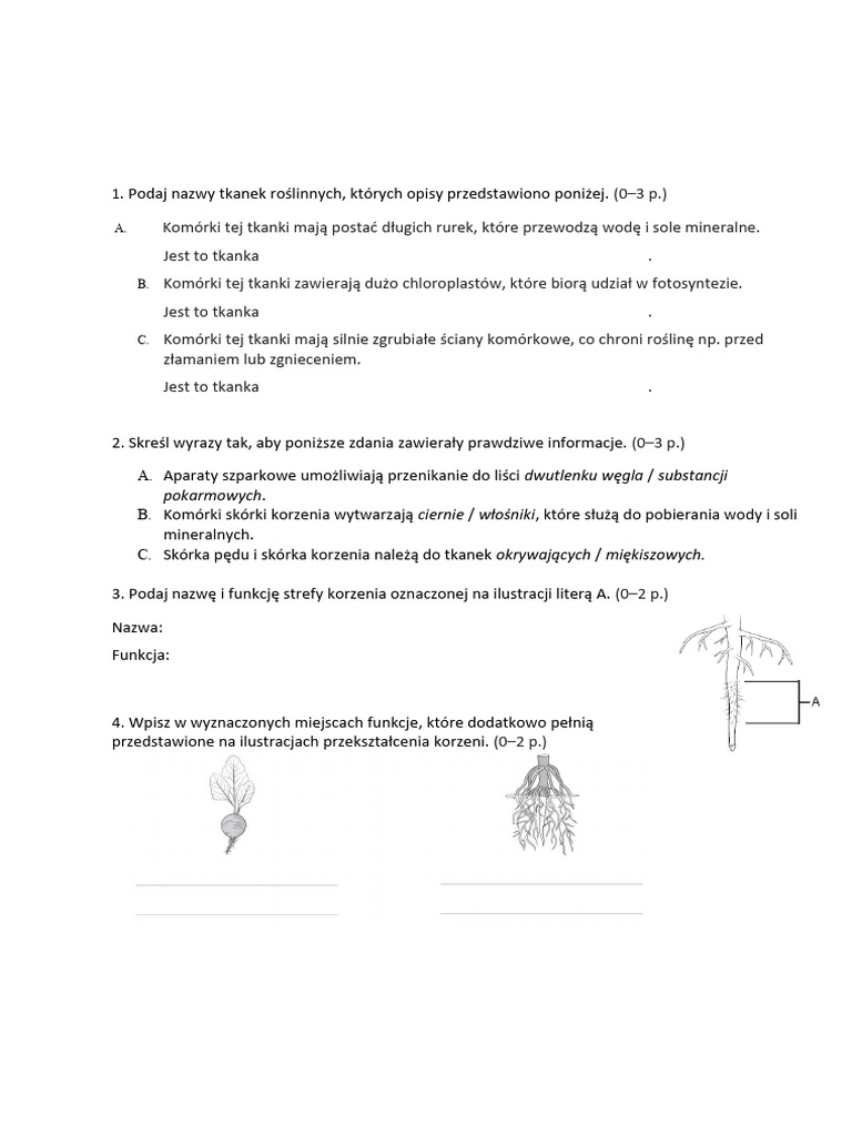 Test Tkanki I Organy Roslinne | PDF
