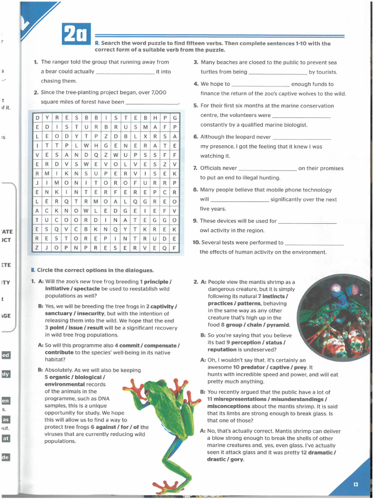 Pioneer Workbook Module 2 | PDF