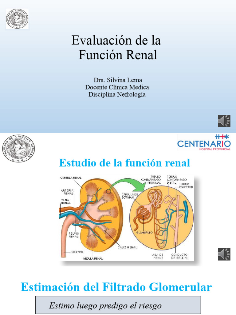 Función Renal | PDF | Riñón | Especialidades Medicas