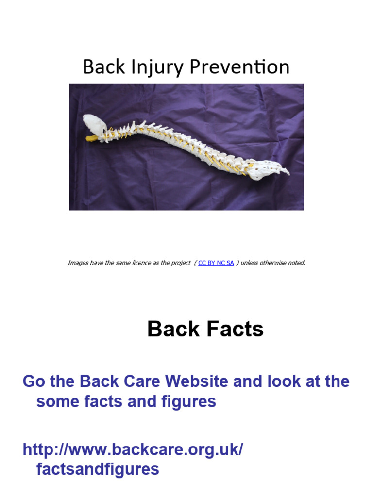 Back Injury Prevention Strategies | PDF | Back Pain | Clinical Medicine