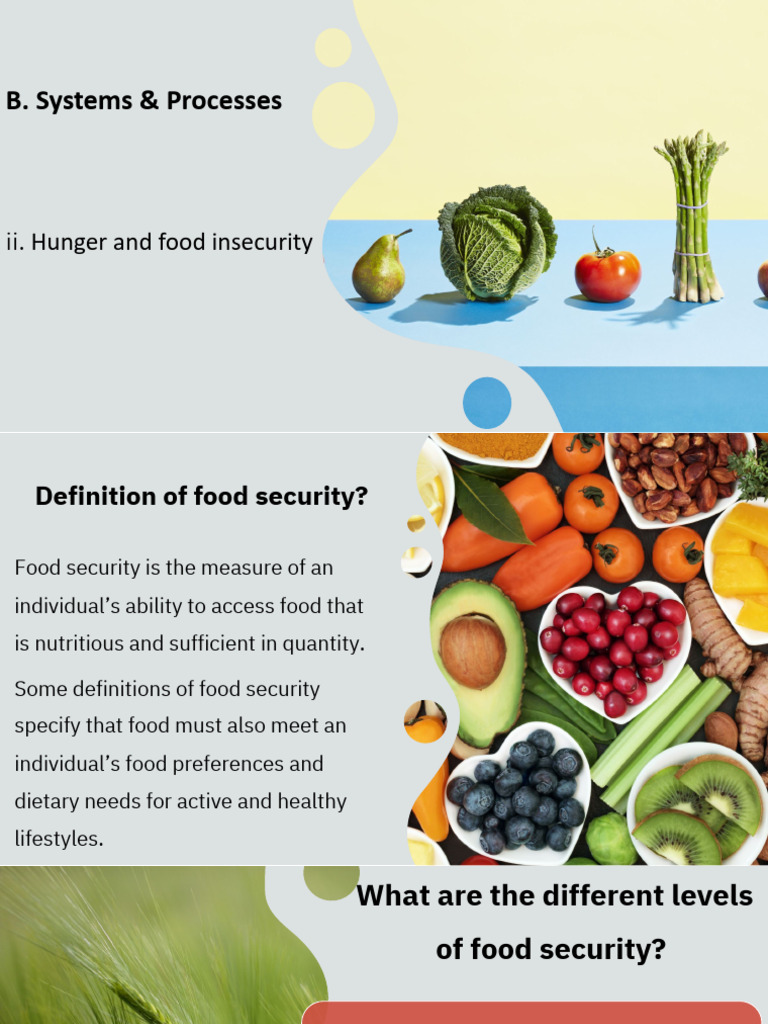 Hunger and Food Insecurity | PDF | Food Security | Hunger