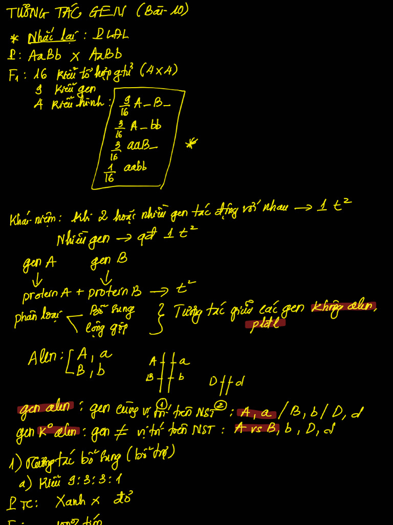 Tương Tác Gen 12A2 21102022 | PDF