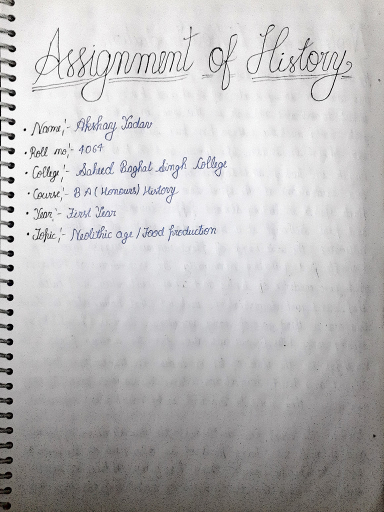 History Assignment 4 | PDF