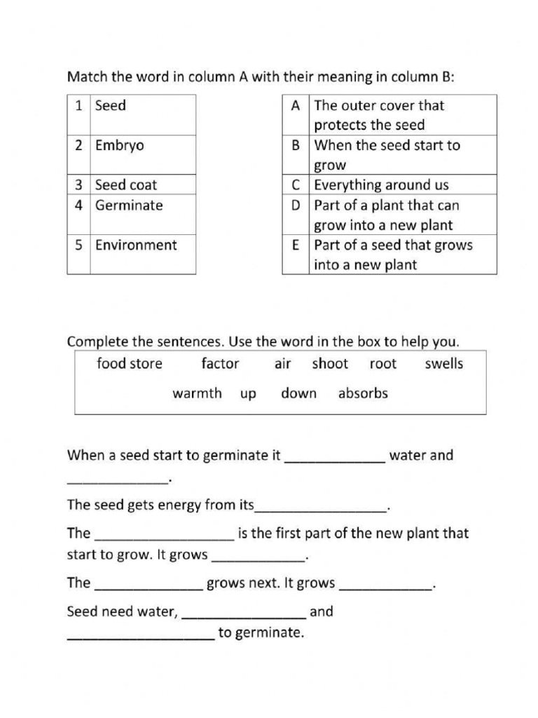 Science 1st Exam | PDF