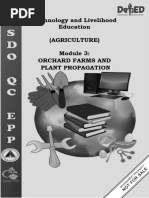 Agri Lesson 5 - Types of Orchard Farm | PDF | Trees | Fruit