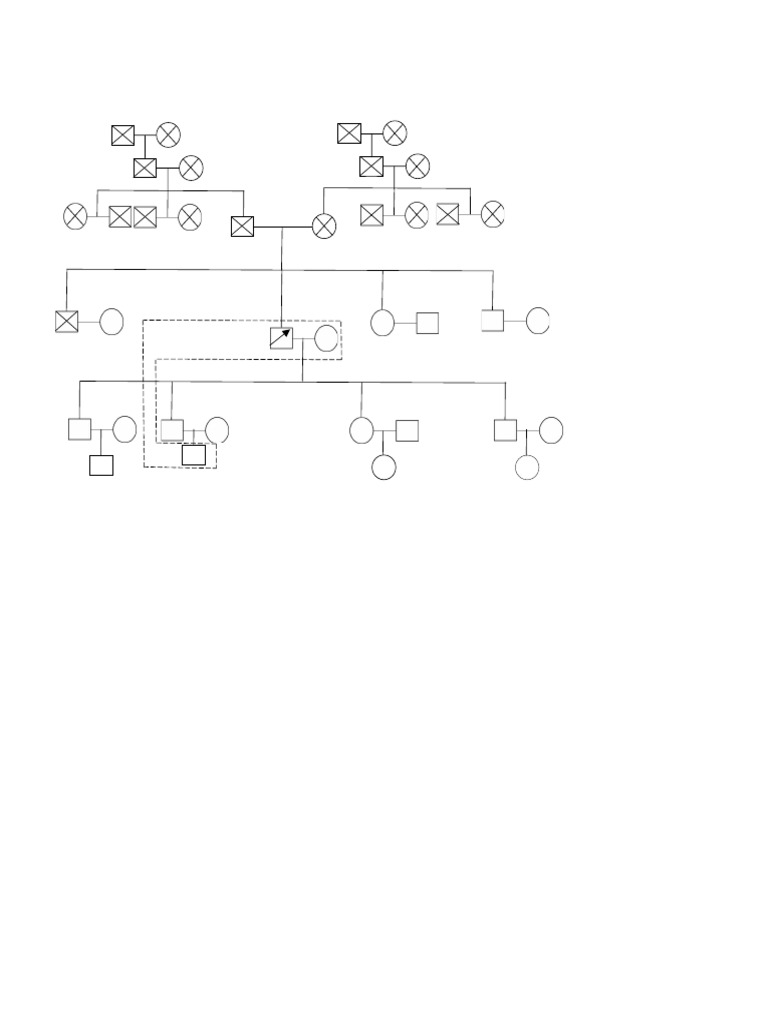 Genogram | PDF
