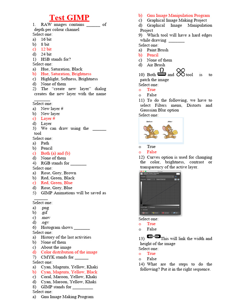GIMP Test | PDF | Computer Vision | Visual Perception