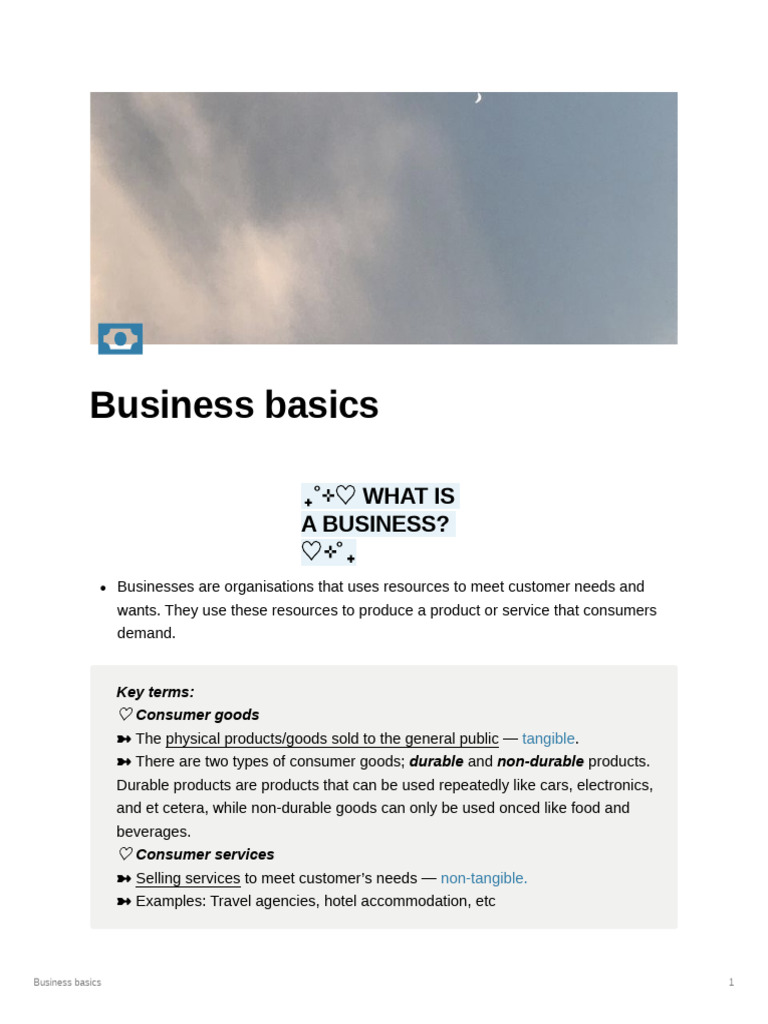 Business Basics - IB Business Management | PDF | Economies Of Scale | Economic Growth