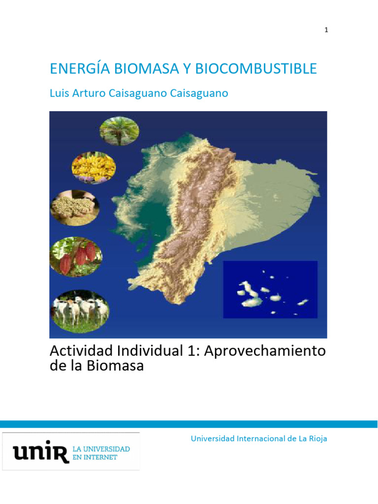 Actividad Individual 1 - Luis Arturo Caisaguano | PDF | Biomasa | Biocombustible