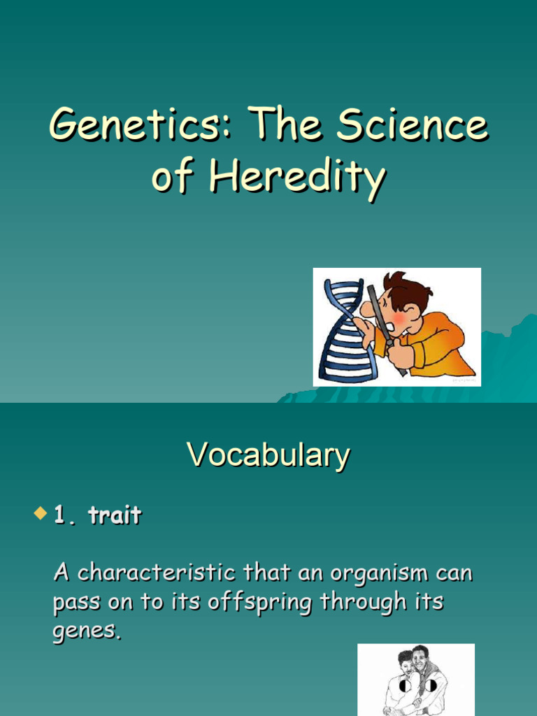 5th Grade CH 3 Genetics Notes | PDF