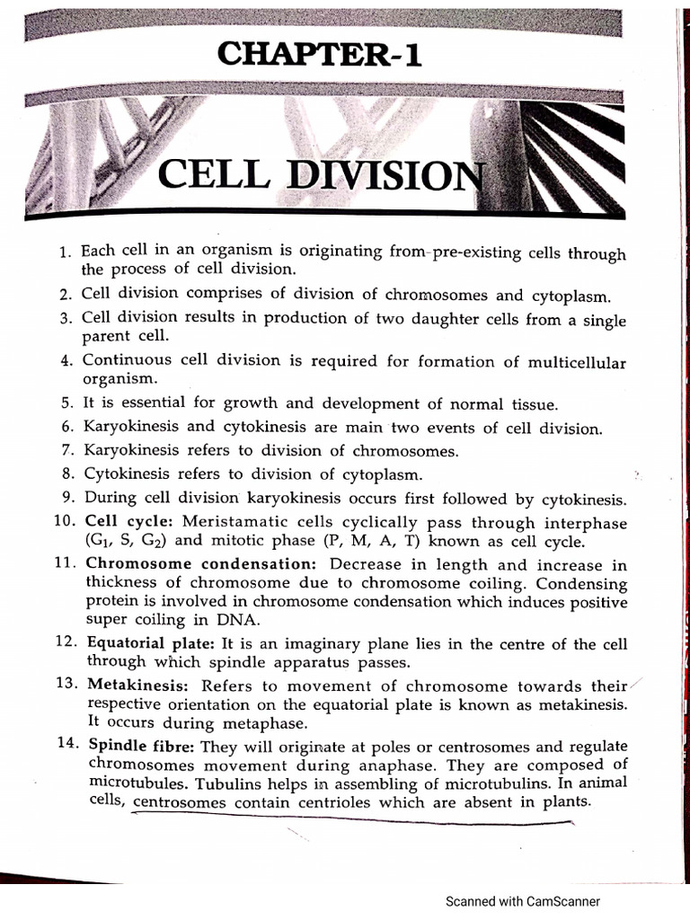 Genetics Made Easy PDF Anshul | PDF