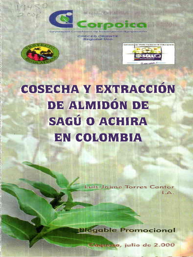 Cosecha y Extraccion - Achira | PDF | Ciencia y matemáticas