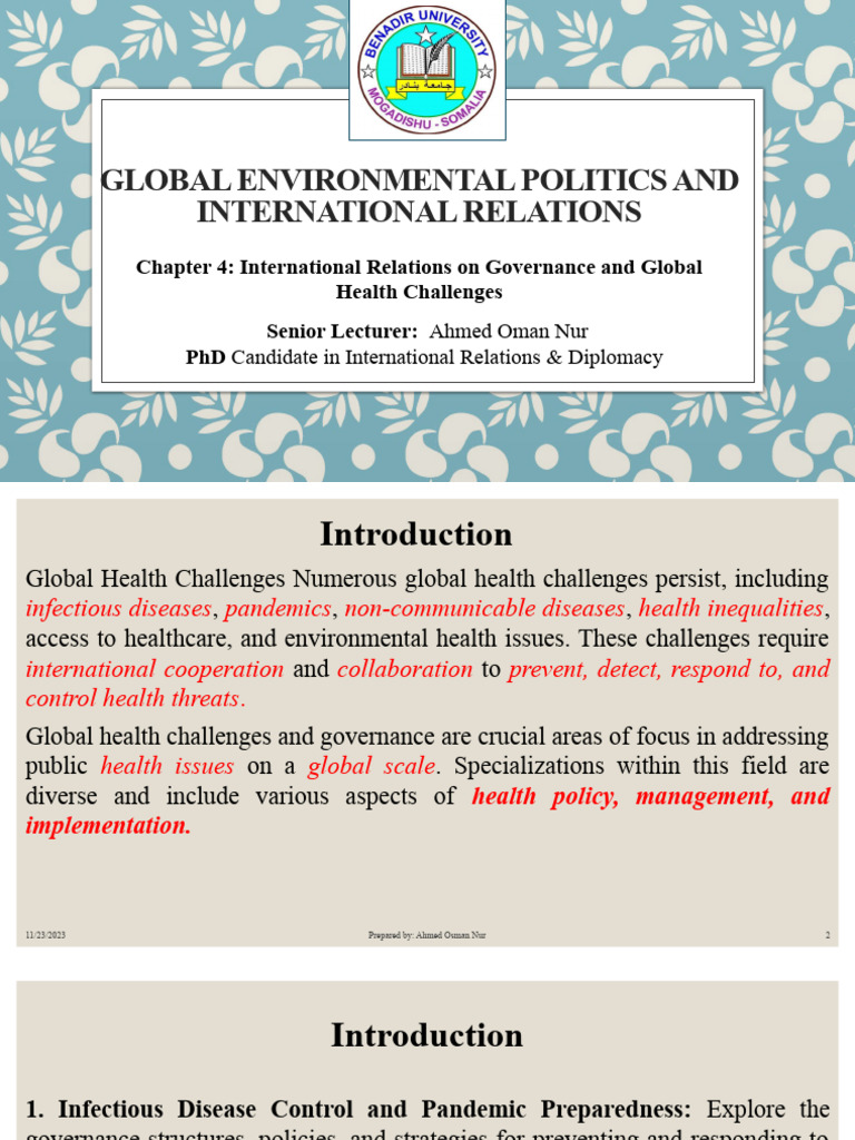 Chapter 4 Global Health Challenges and Governance Specialisations | PDF | Global Health | Governance