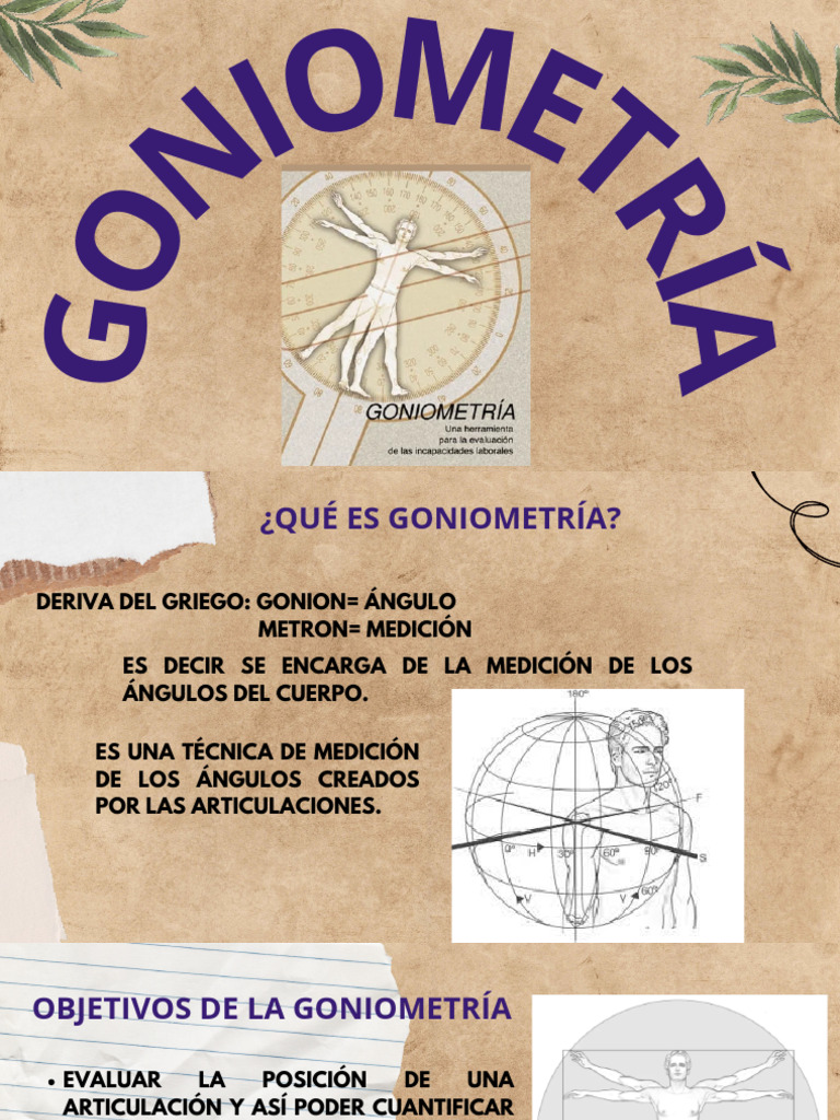 GONIOMETRÍA | PDF | Vértebra | La columna vertebral