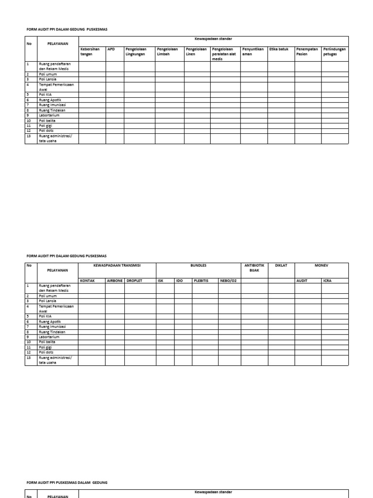 Form Audit PPI | PDF | Pengembangan Diri | Kesehatan Holistik