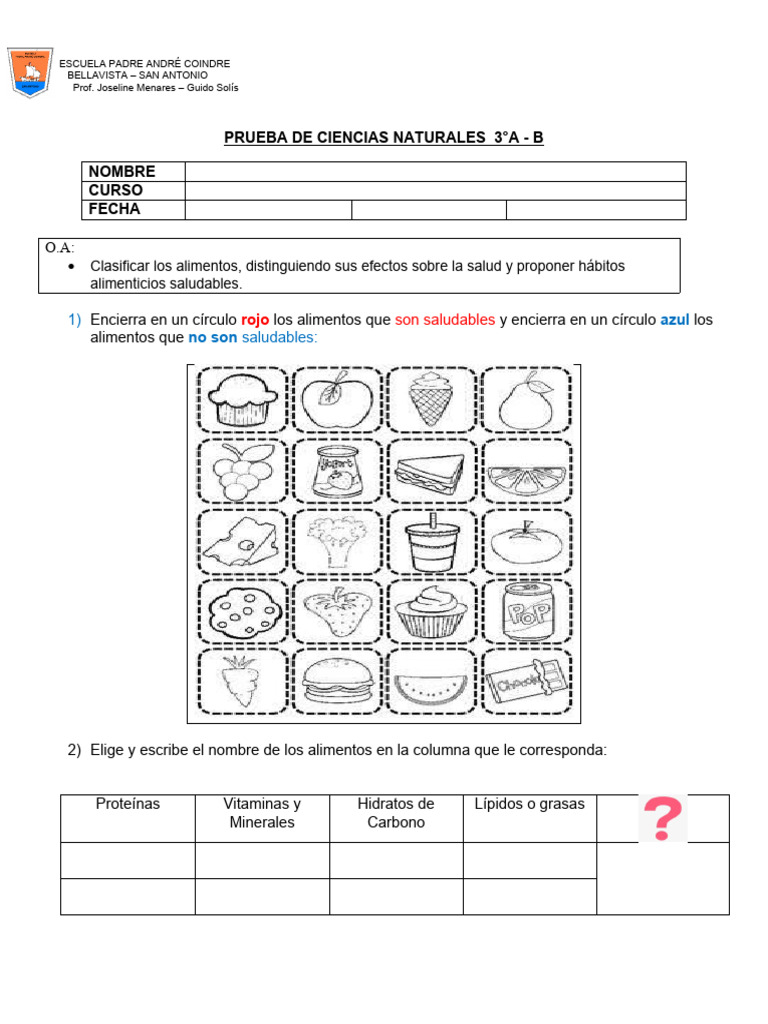 Prueba de Ciencias Naturales PIE 3ro Basico | PDF