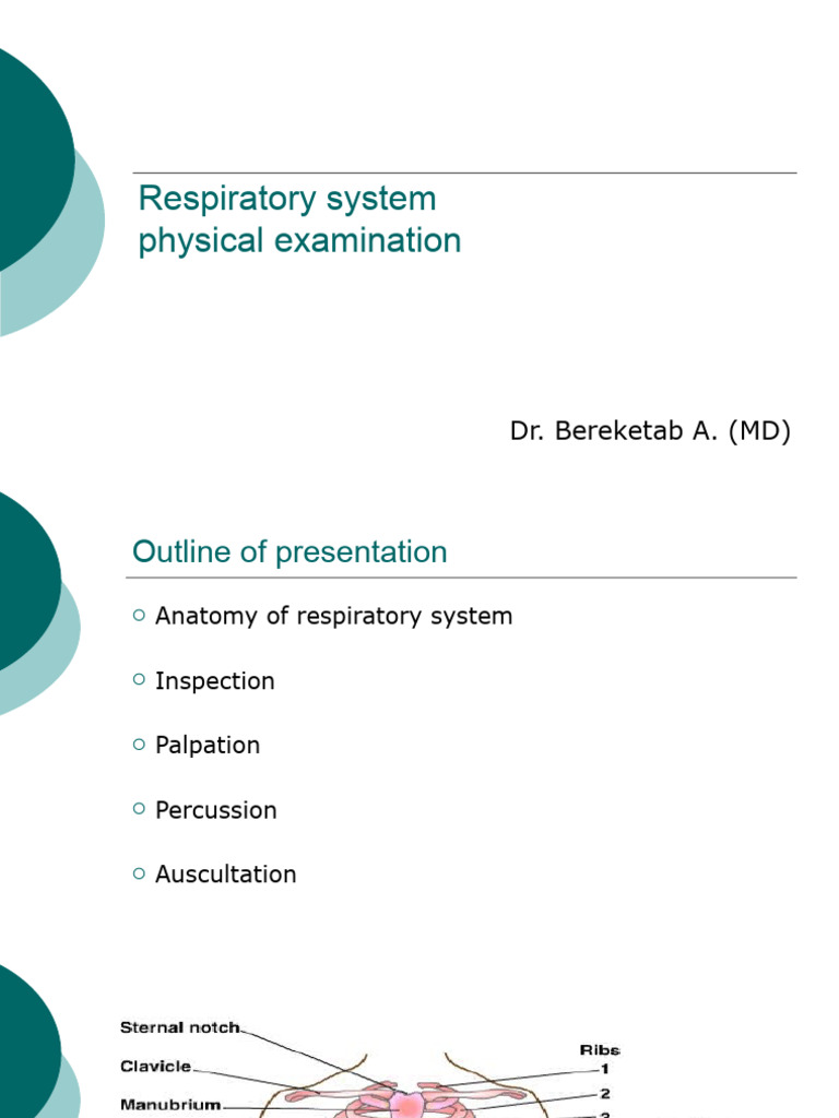 Respiratory System PE | PDF | Thorax | Lung