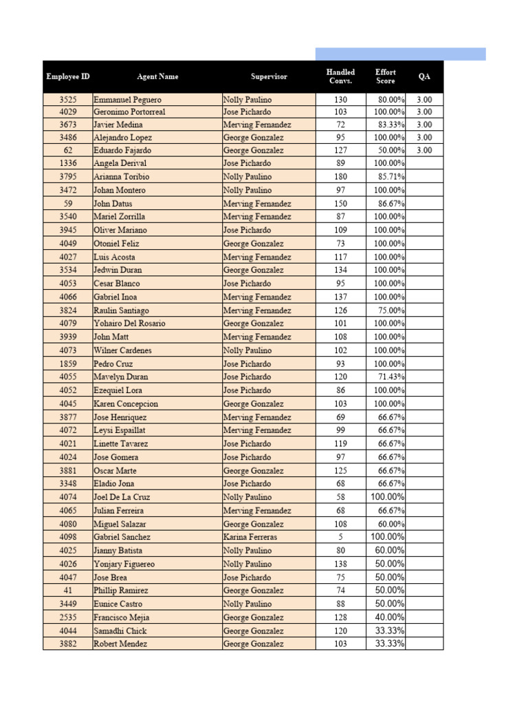 Employee Performance Metrics | PDF