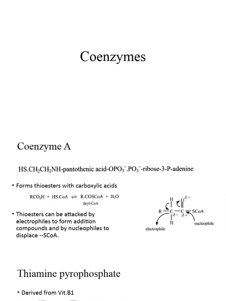 Coenzymes | PDF
