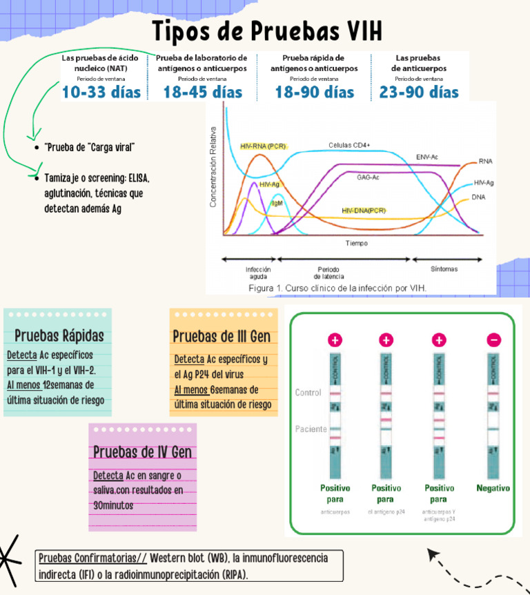 Tipos De Pruebas Para Vih Pdf