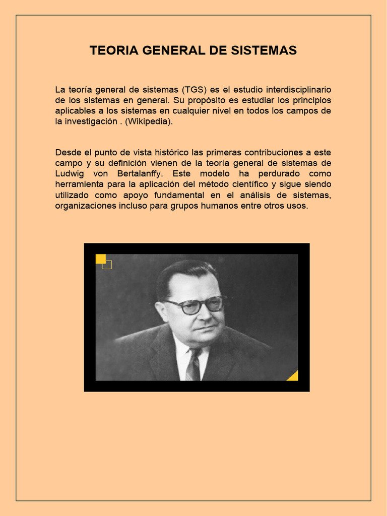 Teoria General de Sistemas | PDF | Sistema | Teoría de sistemas