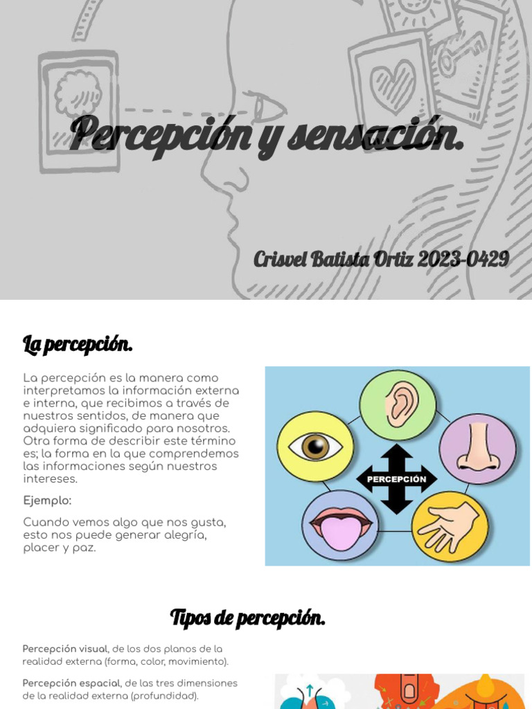 Sensación y Percepción: Definiciones Clave | PDF | Percepción | Sentidos