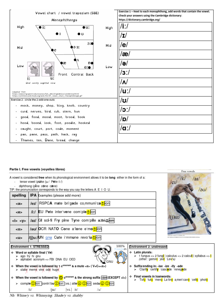 Vowel Sounds and Phonetic Exercises | PDF | Vowel | Stress (Linguistics)