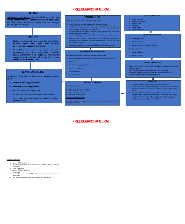 Preeklampsia Berat | PDF
