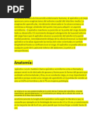 Función y Estructura de Criptas de Lieberkühn | PDF