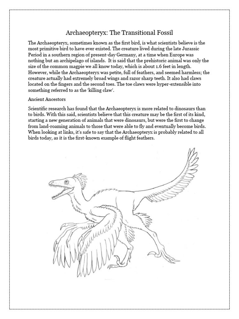Archaeopteryx - The Transitional Fossil | PDF