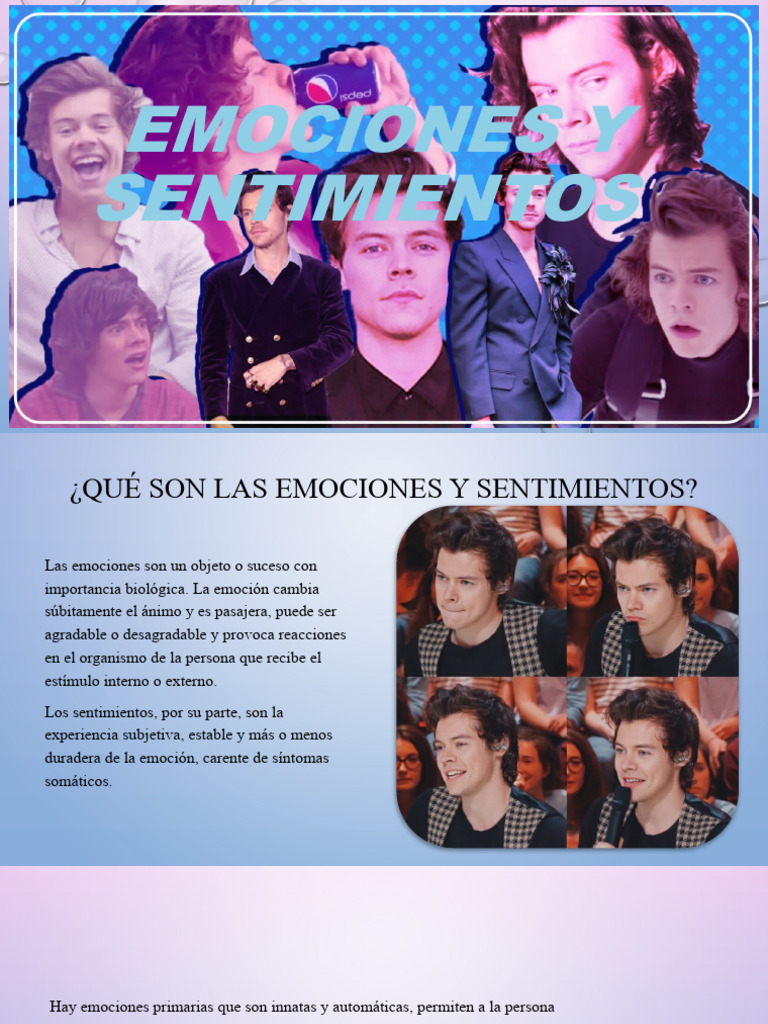 Emociones y Sentimientos Harry Styles) | PDF | Las emociones | Experiencia