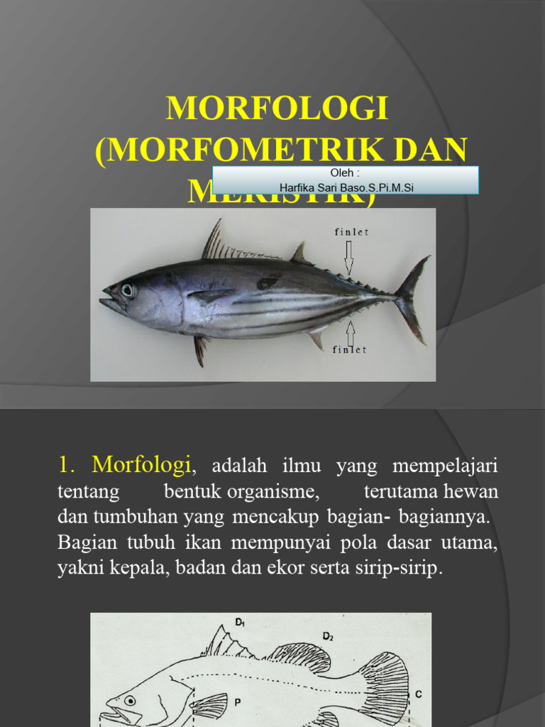 Morfologi dan Morfometrik Ikan | PDF | Sains & Matematika