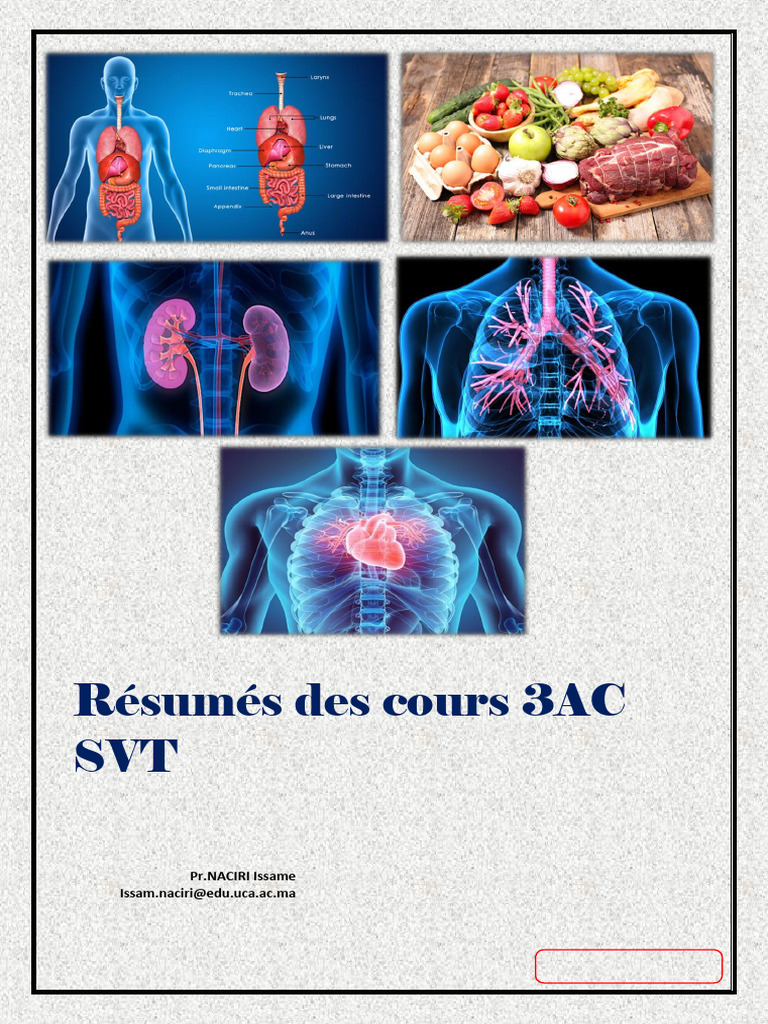 Résumé des cours SVT 3AC S1 | PDF | Sang | Nutriments