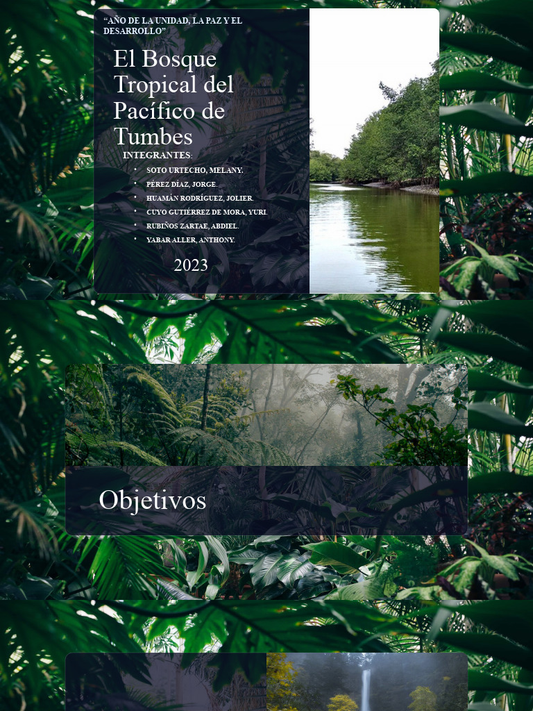 El Bosque Tropical Del Pacifico de Tumbes | PDF