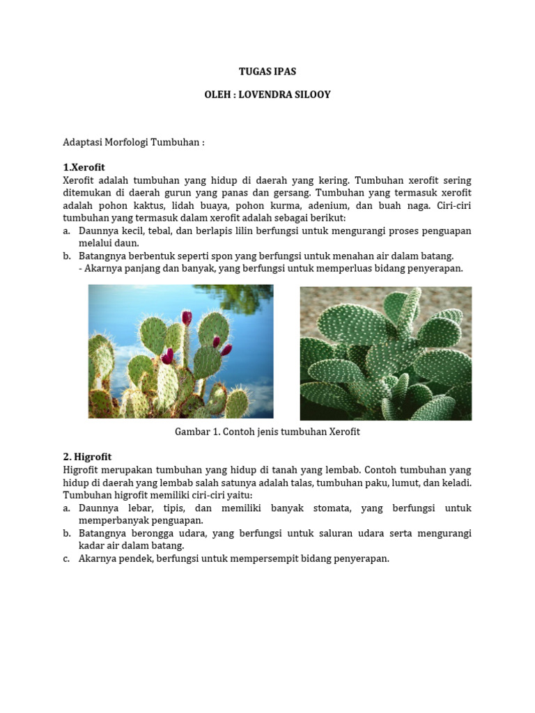 Adaptasi Tumbuhan Xerofit dan Higrofit | PDF | Teknologi & Rekayasa