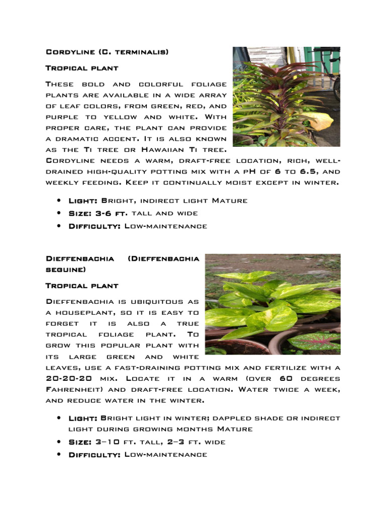 Landscaping Plants | PDF | Plants | Botany