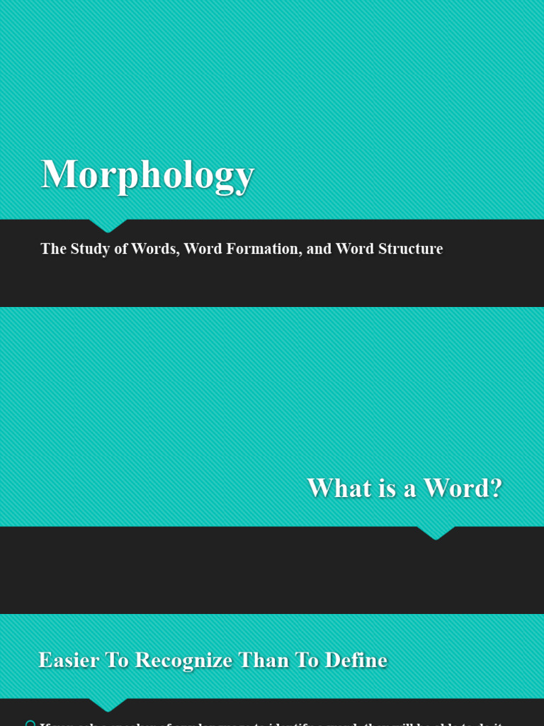 3.1 Introduction To Morphology | PDF