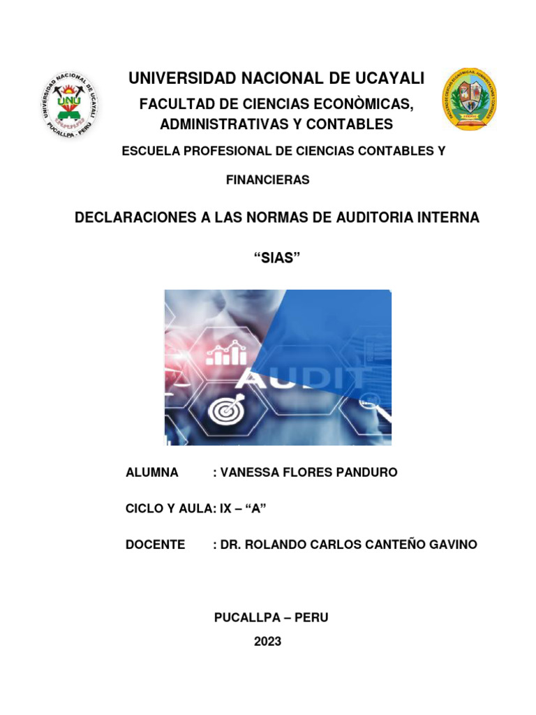 SIAS | PDF | Auditoría | Business