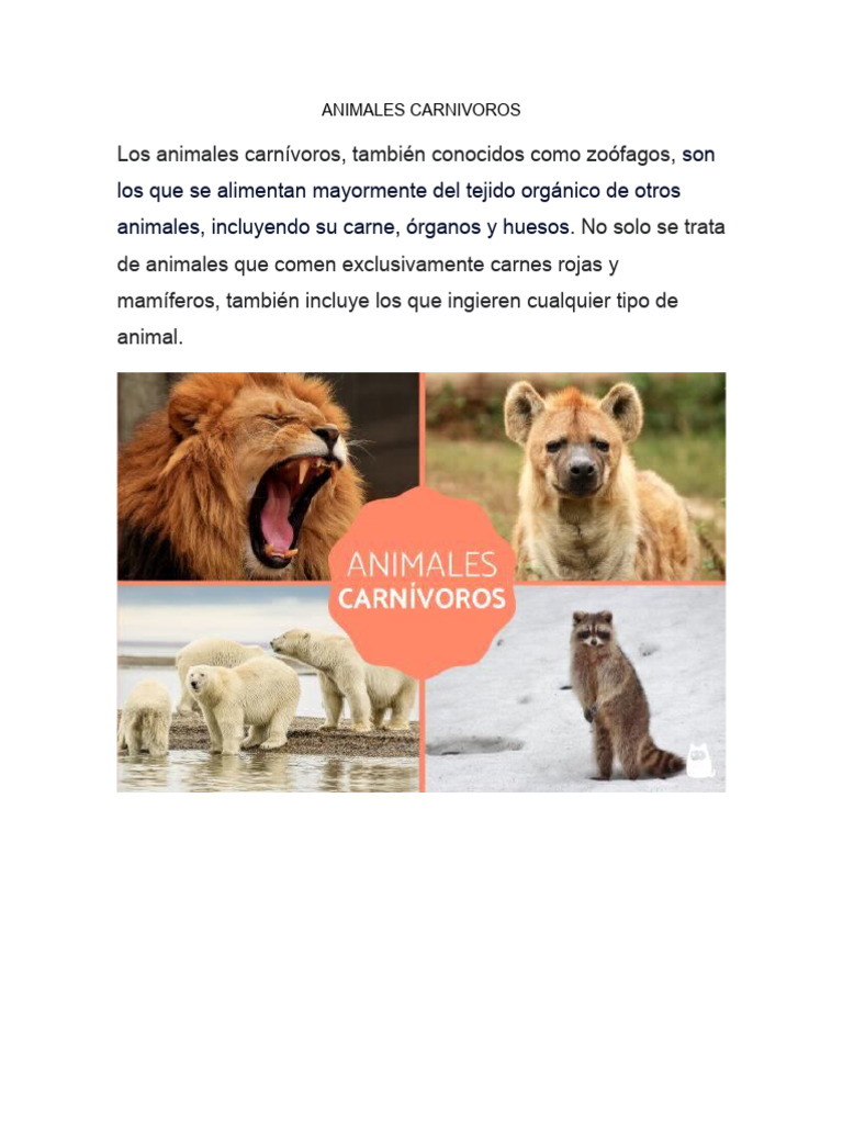 Animales Carnivoros | PDF