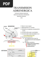 Diapositivas. FÁRMACOS INOTRÓPICOS | PDF | Farmacología | Fisiología ...