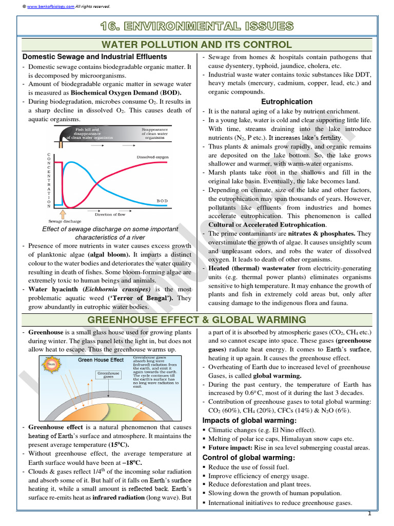 16 Environmental Issues - FOCUS AREA 2021 | Download Free PDF | Ozone Depletion | Greenhouse Effect